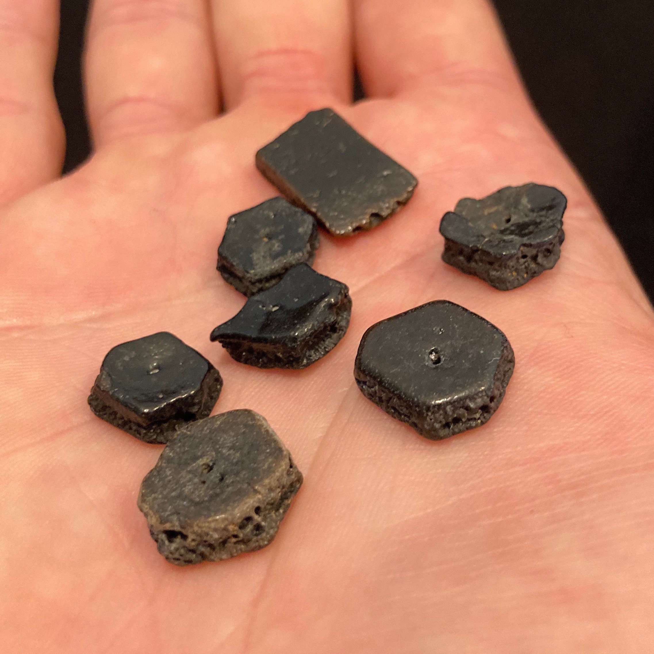 7 Fossil Armadillo Dermal Scutes | Osteoderms | Shell Fragments ...