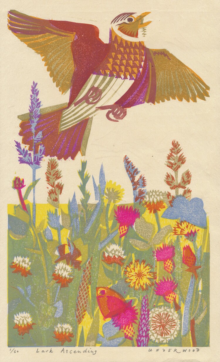 Lark Ascending | Etsy
