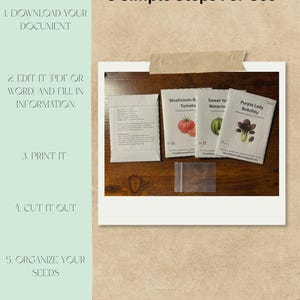 Printable Seed Packet Template: Minimalist Design (digital Download) - Etsy