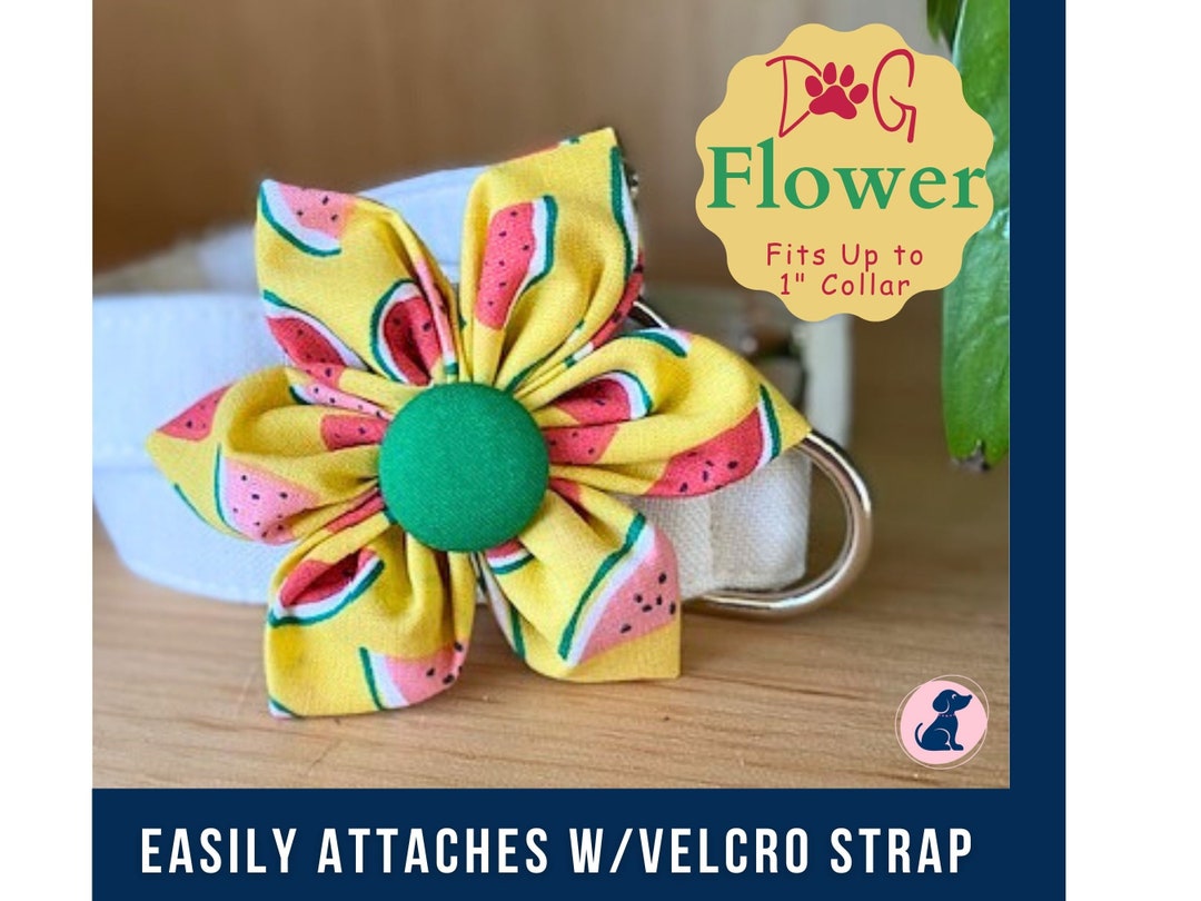 Dog Collar Flower Attachment, Summer Dog Collar Flower, Watermelon ...