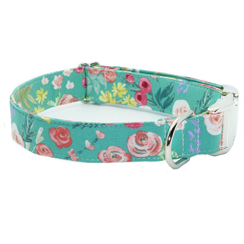 Puppy Collar Girl Teal Dog Collar Toy Dog Collar Spring Dog - Etsy