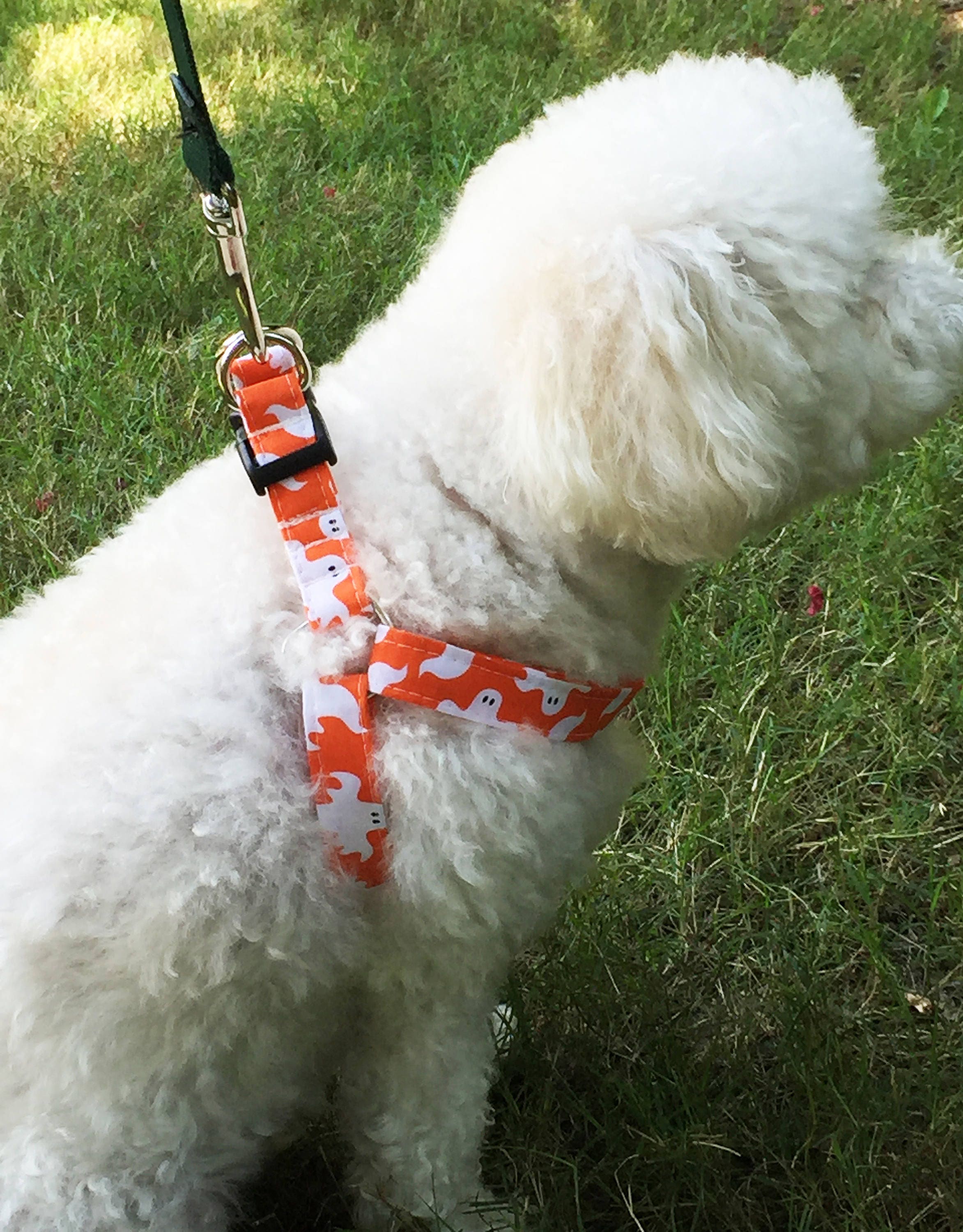 DIY Dog Harness Sewing Instructions: Adjustable Sizes (PDF Pattern ...