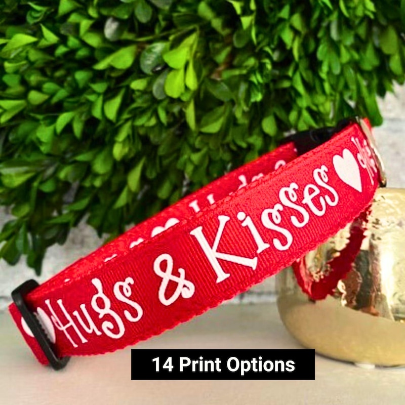 Male Dog Valentine Collar - Etsy