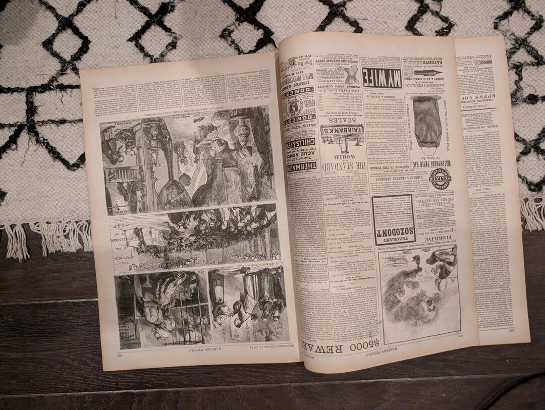 Oct 12 1878 Harper's Weekly, Colorado Government Survey, Western Pack ...