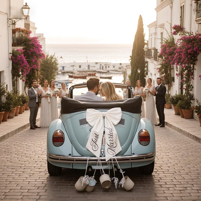Personalized Just Married Wedding Car Bow, Modern Elegant Wedding Car ...