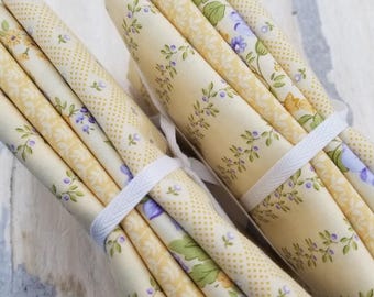 Georgia...fq Bundle...brenda Riddle of Acorn Quilt Company...moda ...