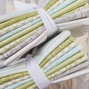 Dover...curated Fat Quarter Bundle...brenda Riddle...moda Fabrics - Etsy