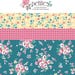 Precious Petites...fq Bundle...gerri Robinson...riley Blake Designs ...