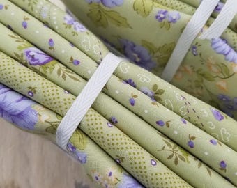 Georgia...fq Bundle...brenda Riddle of Acorn Quilt Company...moda ...