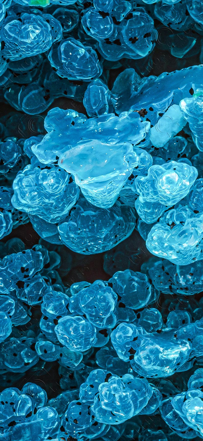 Unique Phone Wallpaper for Mineral and Crystal Lovers, Featuring ...