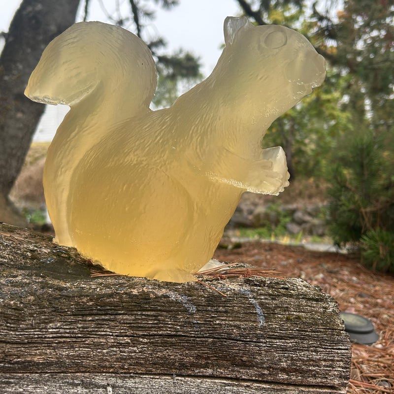 Squirrel Targets - Etsy