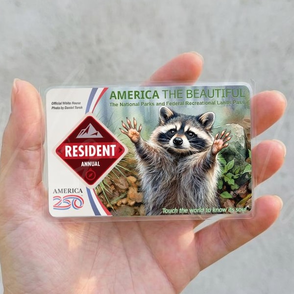 National Park Pass Cover - Etsy