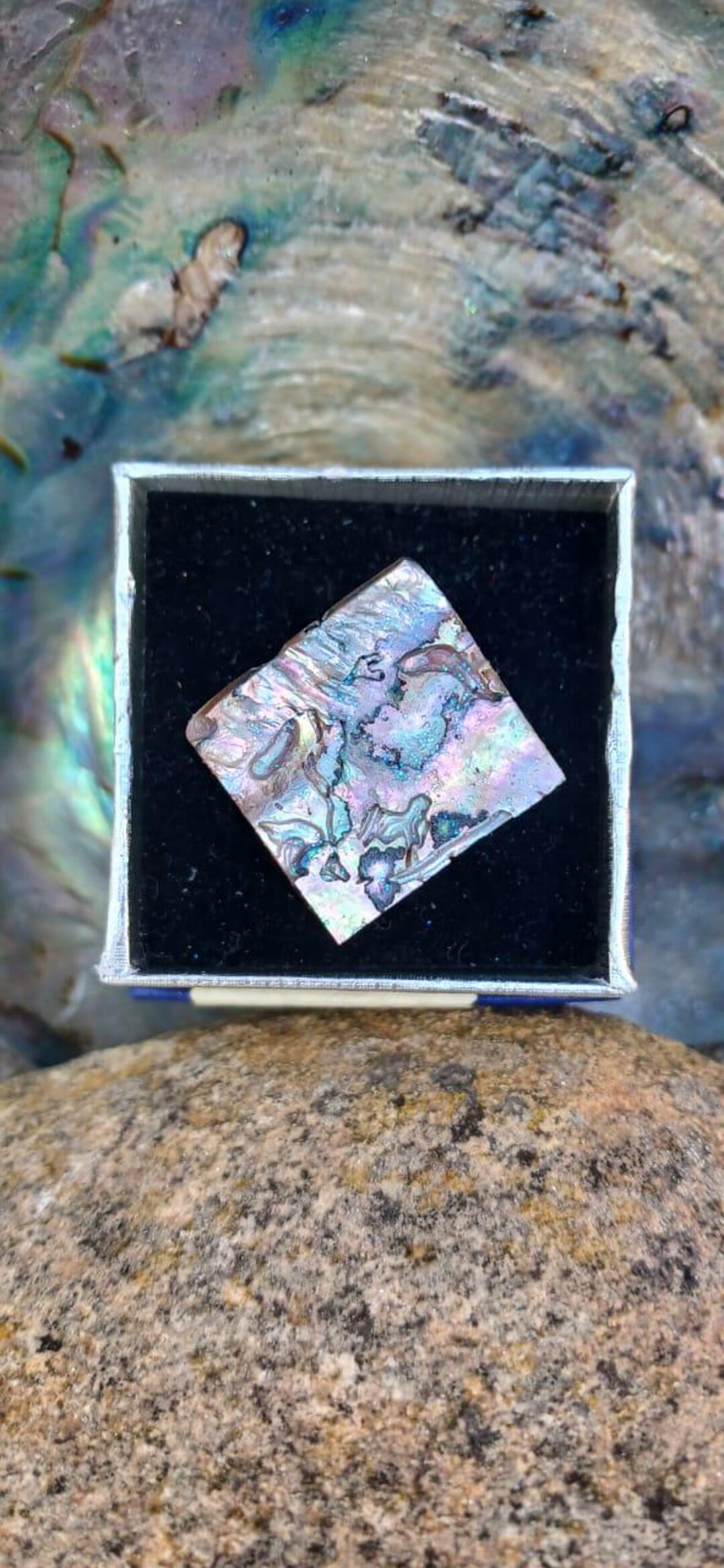 Unique Statement Ring - Adjustable Abalone Shell / Paua Shell ...