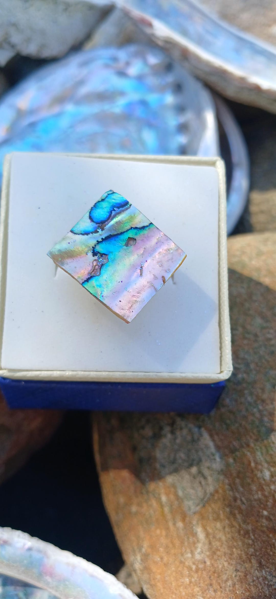 Unique Statement Ring | Adjustable Abalone Shell / Paua Shell ...