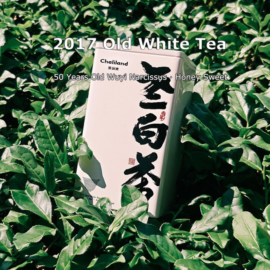 2017 Old White Tea 50g Aged | Tea Life Premium Leaf - Etsy