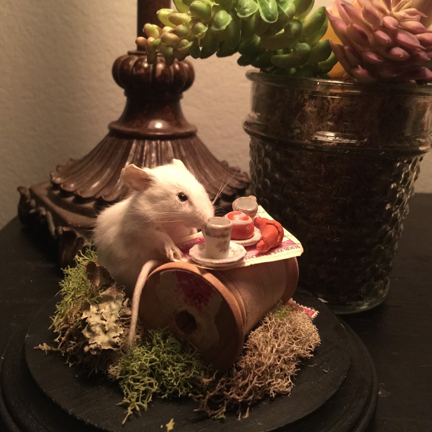 Tea for One Mouse Taxidermy Cloche Dome Setup Diorama With Antique ...