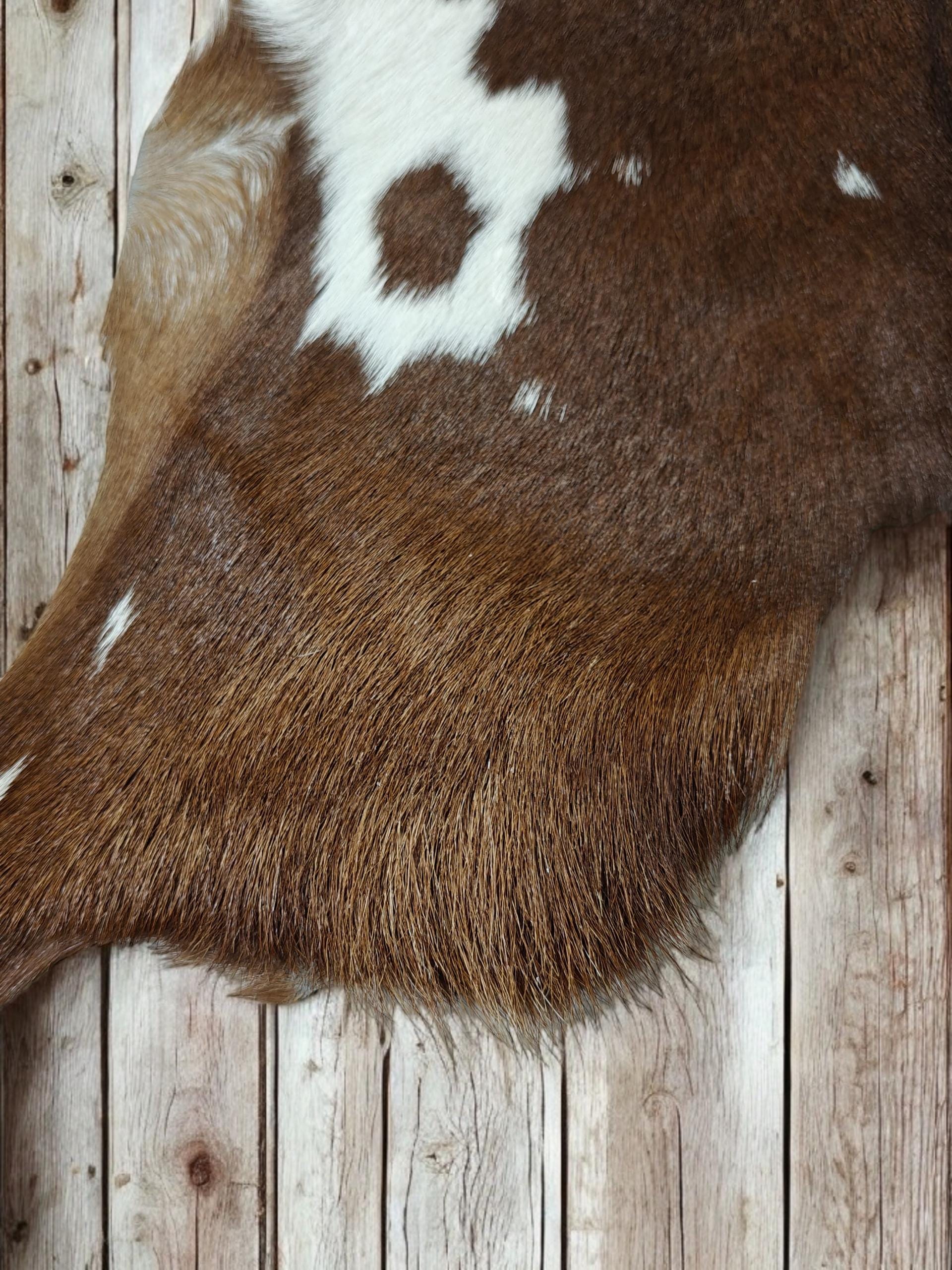100% Real Leather Hide With Original Hair, Hair on Leather Floor Carpet ...