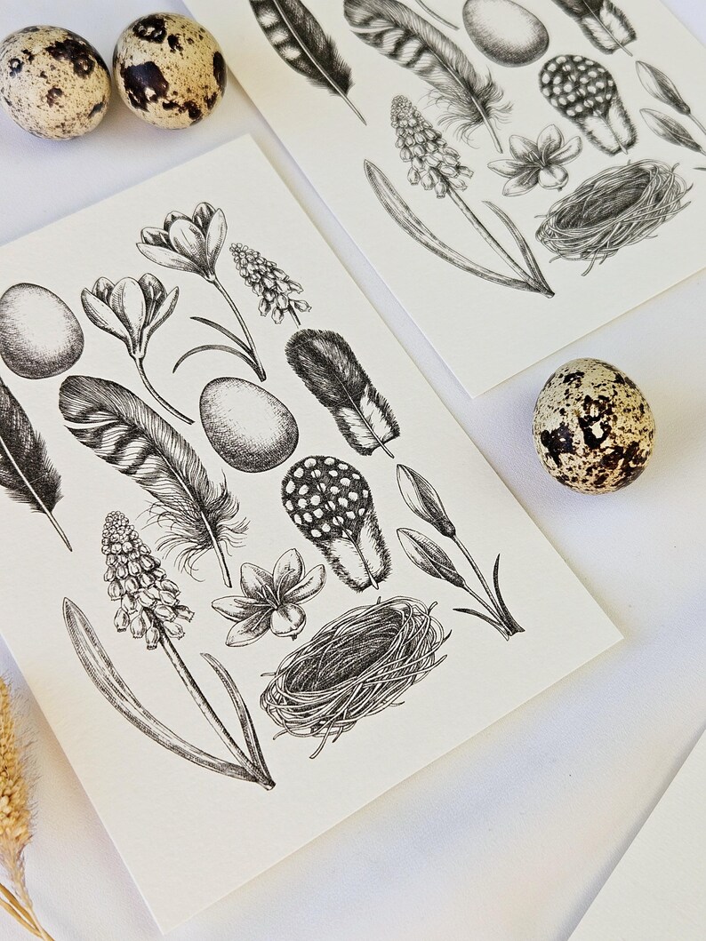 Elegant Easter Card With Spring Flowers Hyacinths, Crocuses & Nest ...