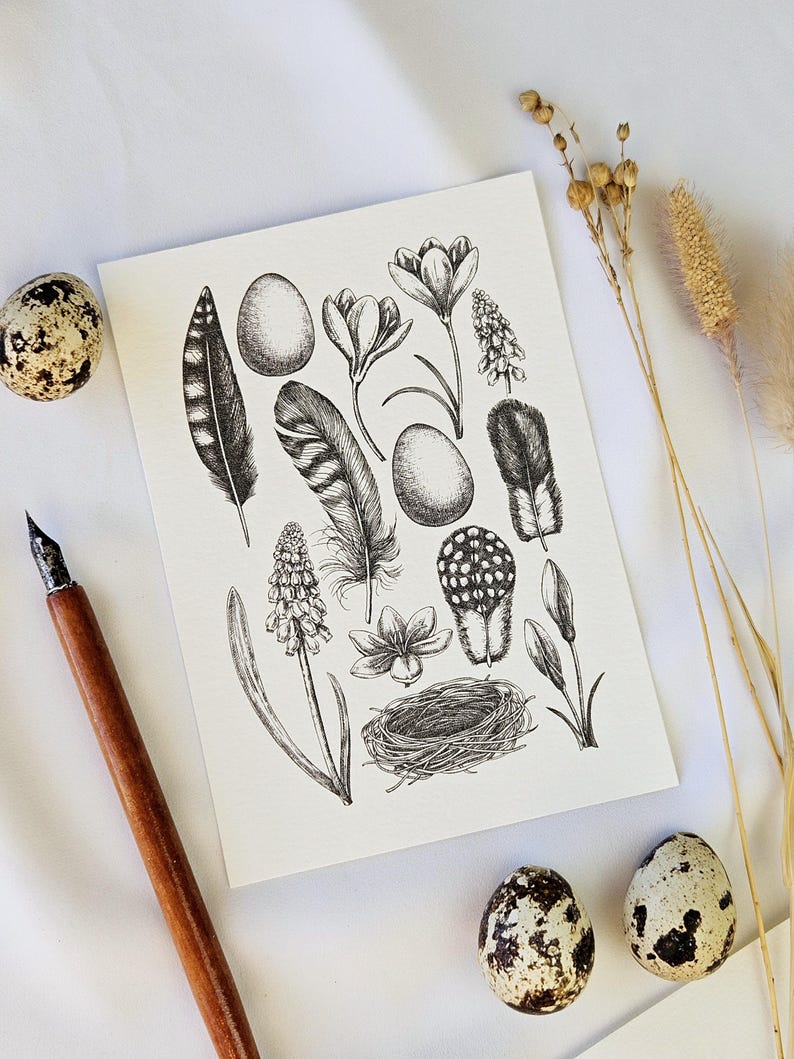 Elegant Easter Card With Spring Flowers Hyacinths, Crocuses & Nest ...