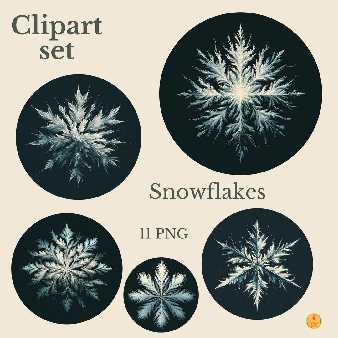 Snowflakes Clipart Set – Winter Snowflake Circle Clipart - 12 PNG ...