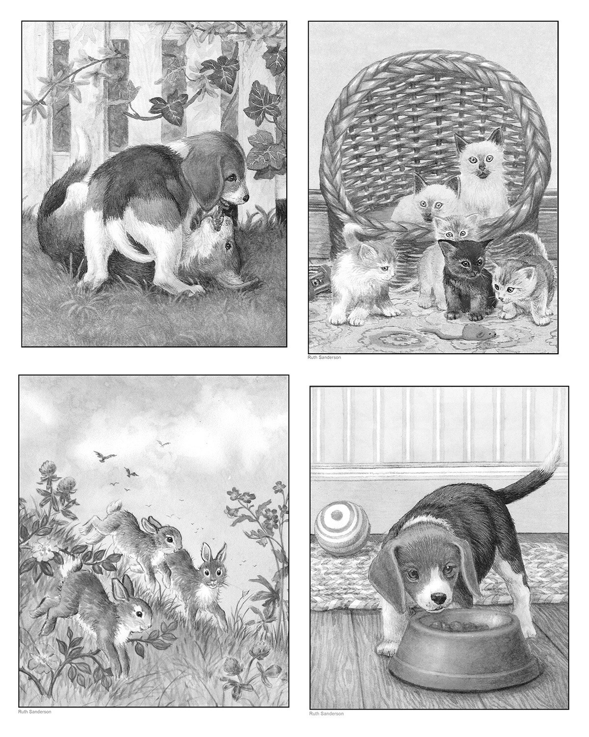 BABY ANIMALS: 24 Grayscale Coloring Pages for Adults as | Etsy