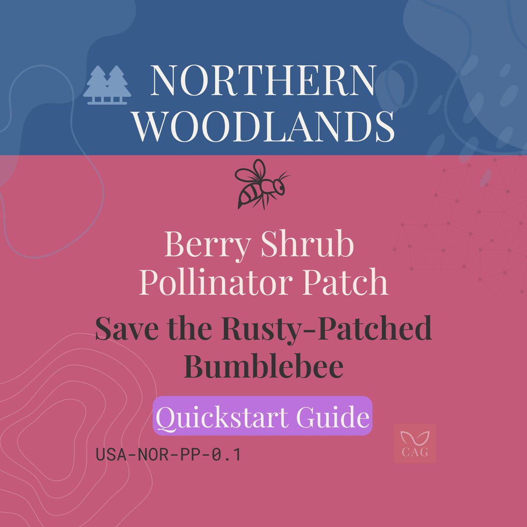 Northern Woodlands Berry Shrub Pollinator Patch Garden | Climate‑smart ...