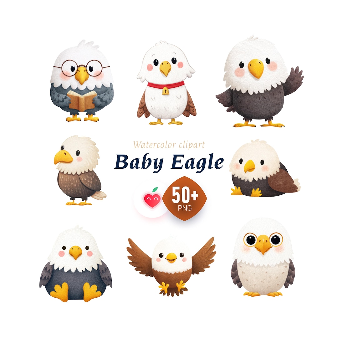 Watercolor Baby Eagle Clipart Bundle, Nursery Decor (PNG Digital ...