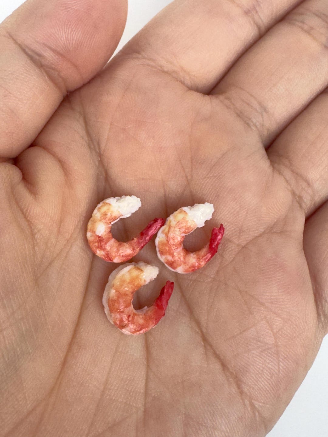 Dried Shrimp Clay Miniature (3pcs) - Etsy