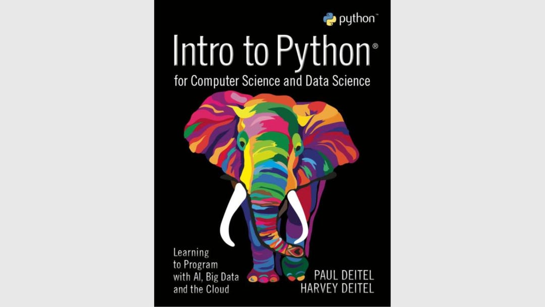 Intro to Python: Computer & Data Science, AI, Big Data - Etsy