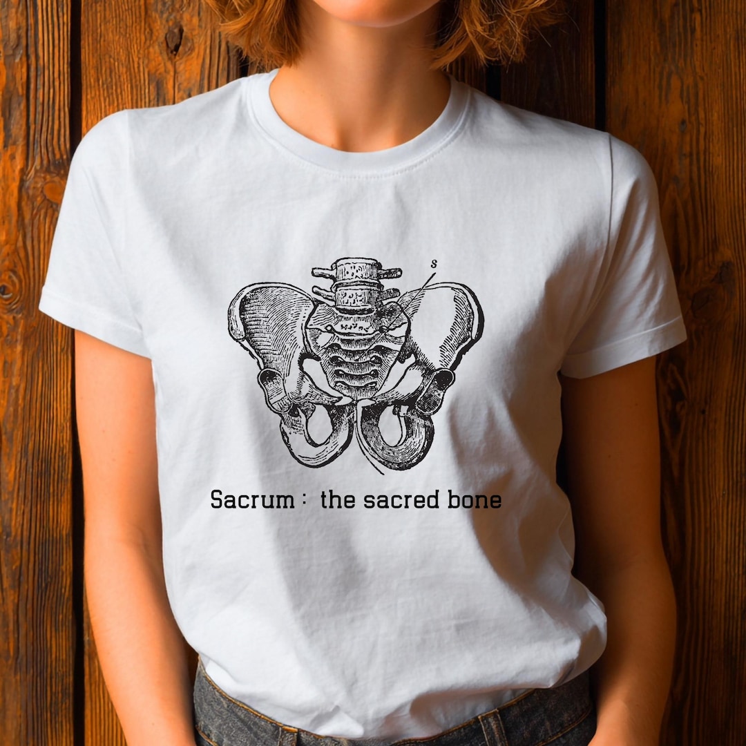 Sacrum Anatomy Illustration SVG PNG – “sacrum: the Sacred Bone ...