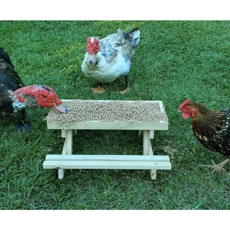 Chicknic Table - Etsy