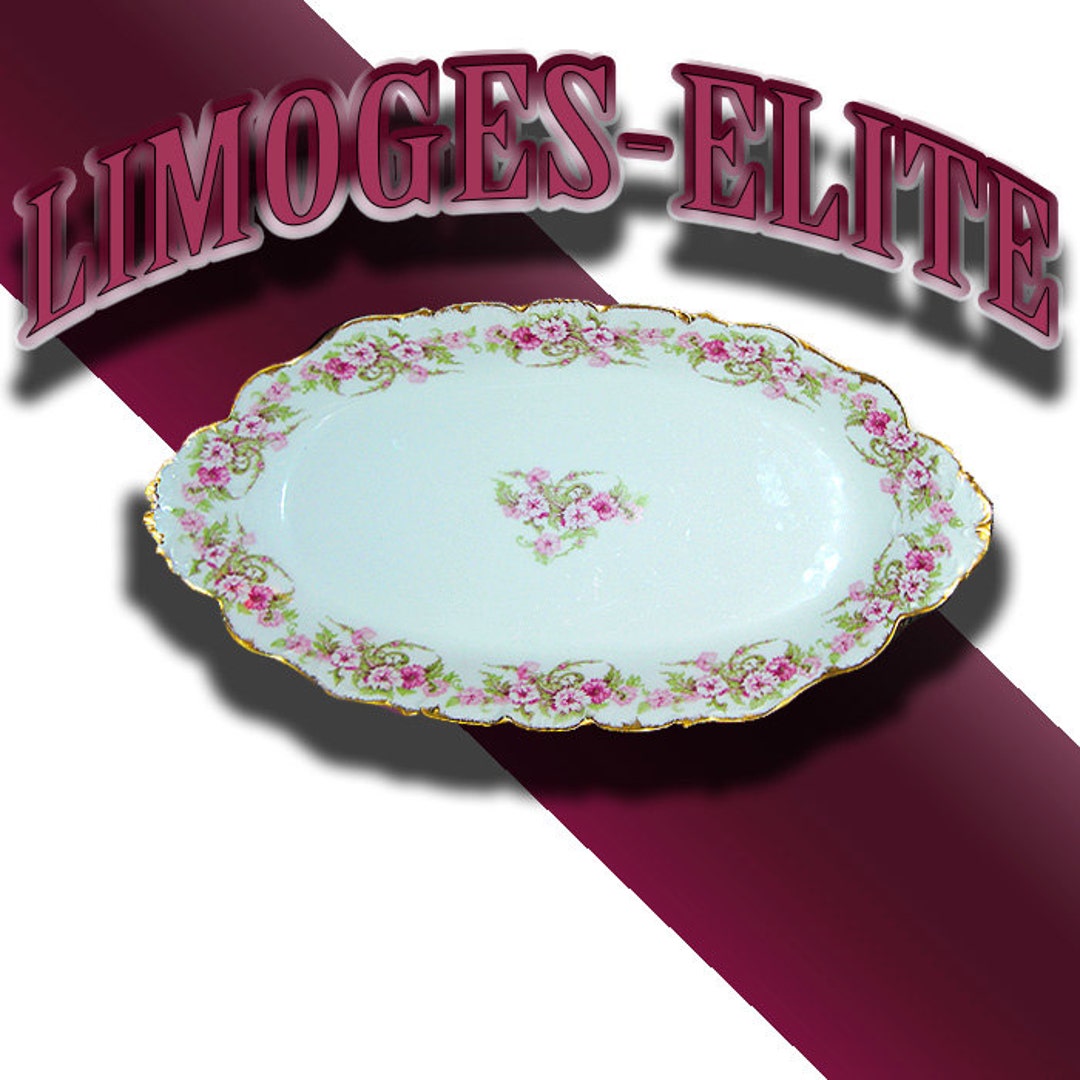 Elite Limoges 16 Platter. - Etsy