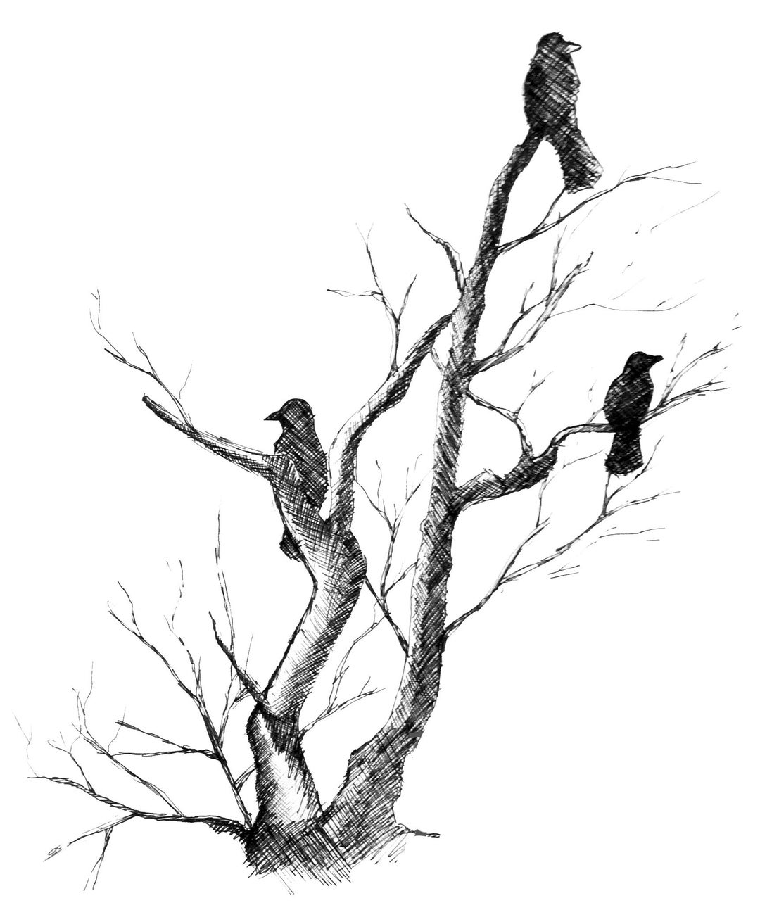 Black Crows on a Dry Tree Branch - Etsy