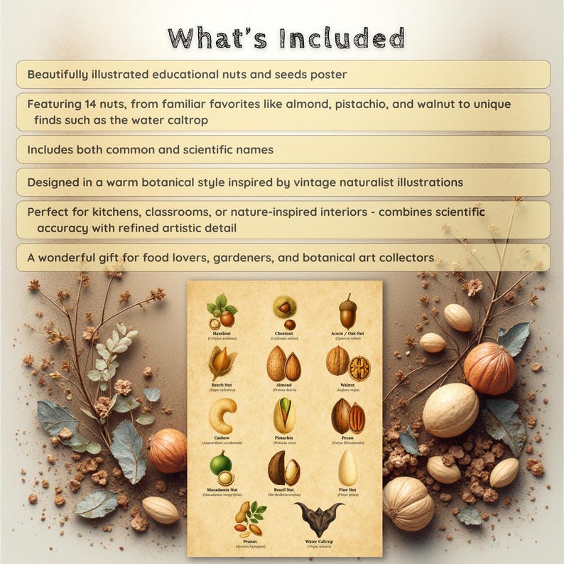 Nuts Identification Chart, Botanical Kitchen Wall Art, 14 Nut Species ...