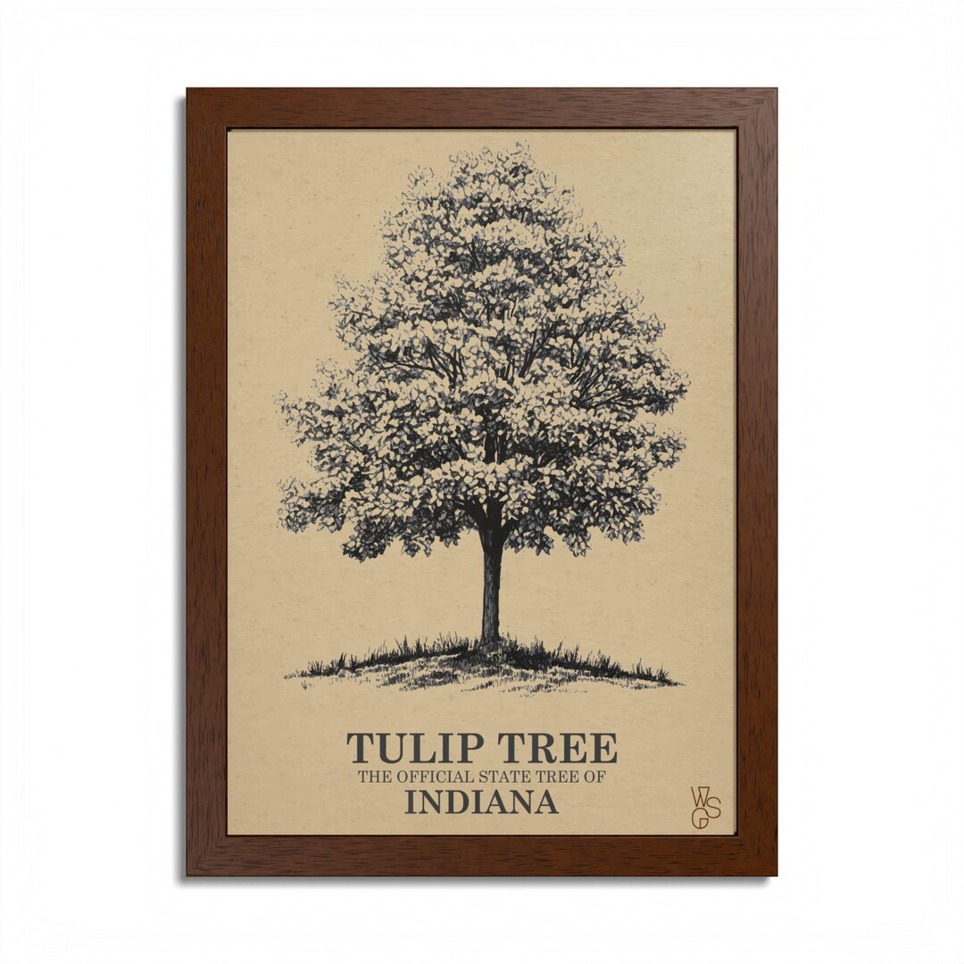 Tulip Tree - Indiana State Tree Art Print, Vintage Botanical Poster ...