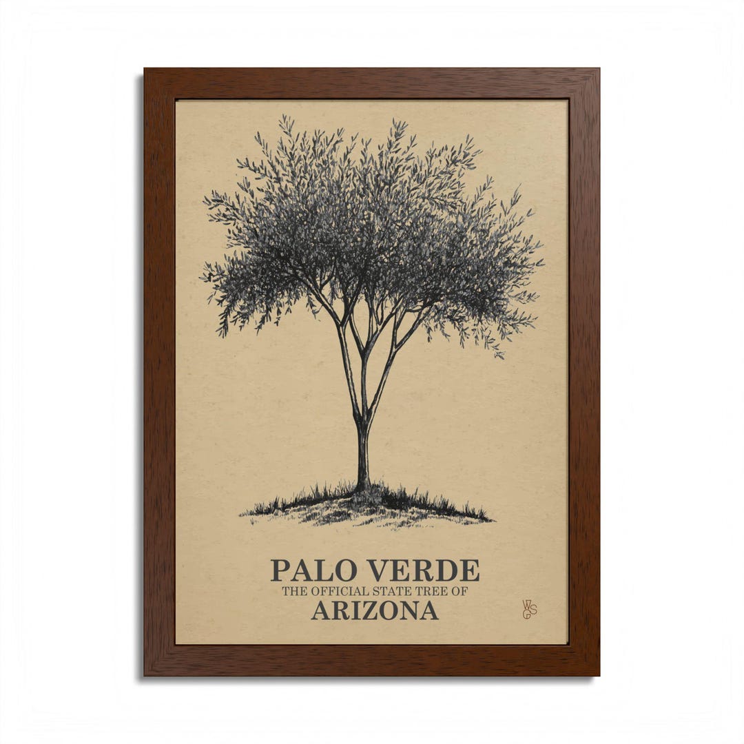 Palo Verde - Arizona State Tree Art Print, Vintage Botanical Poster ...