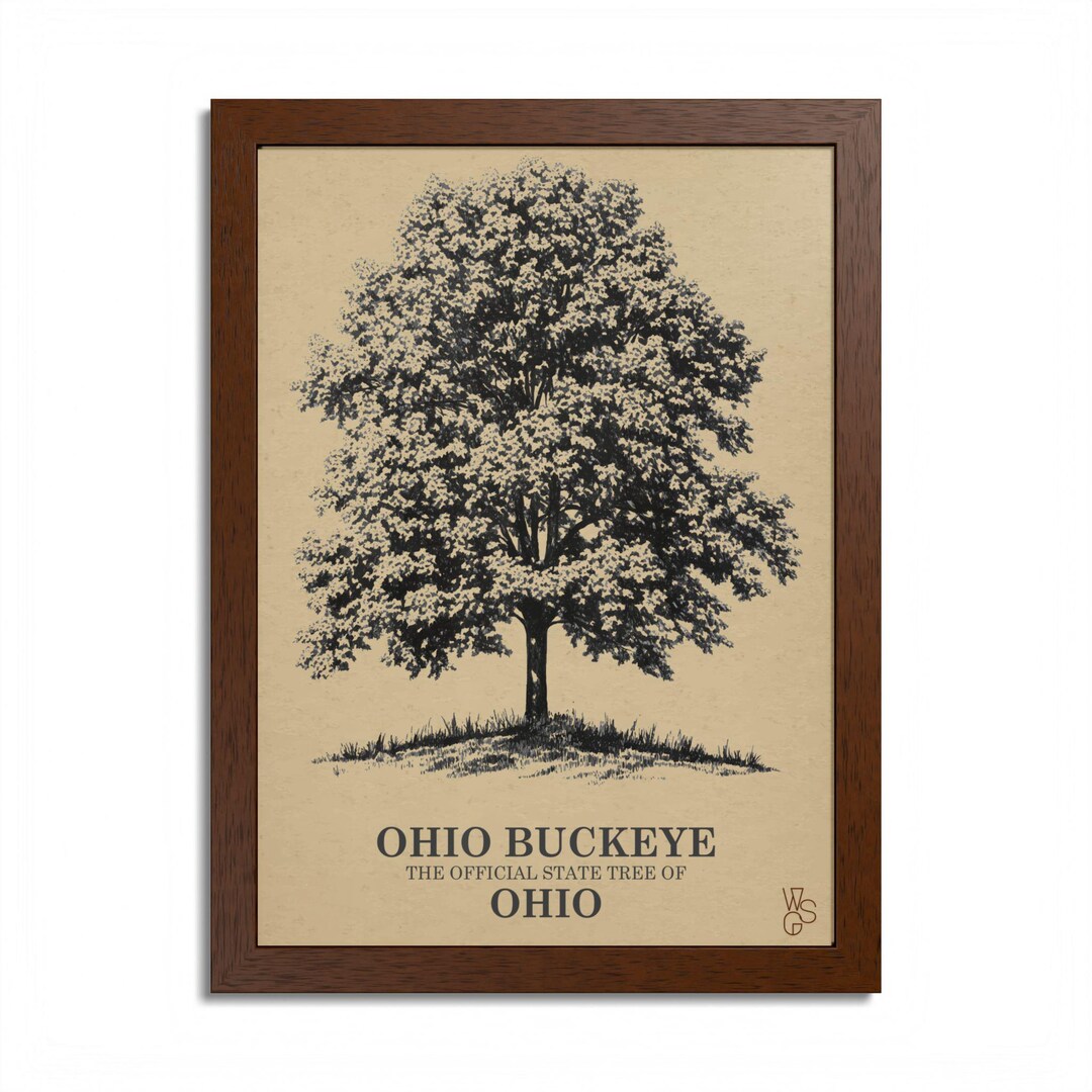 Ohio Buckeye - Ohio State Tree Art Print Vintage Botanical Poster ...
