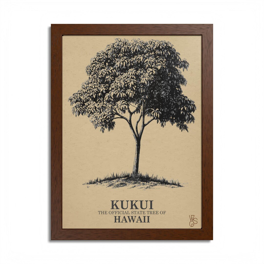 Kukui - Hawaii State Tree Art Print, Vintage Botanical Poster Framed ...
