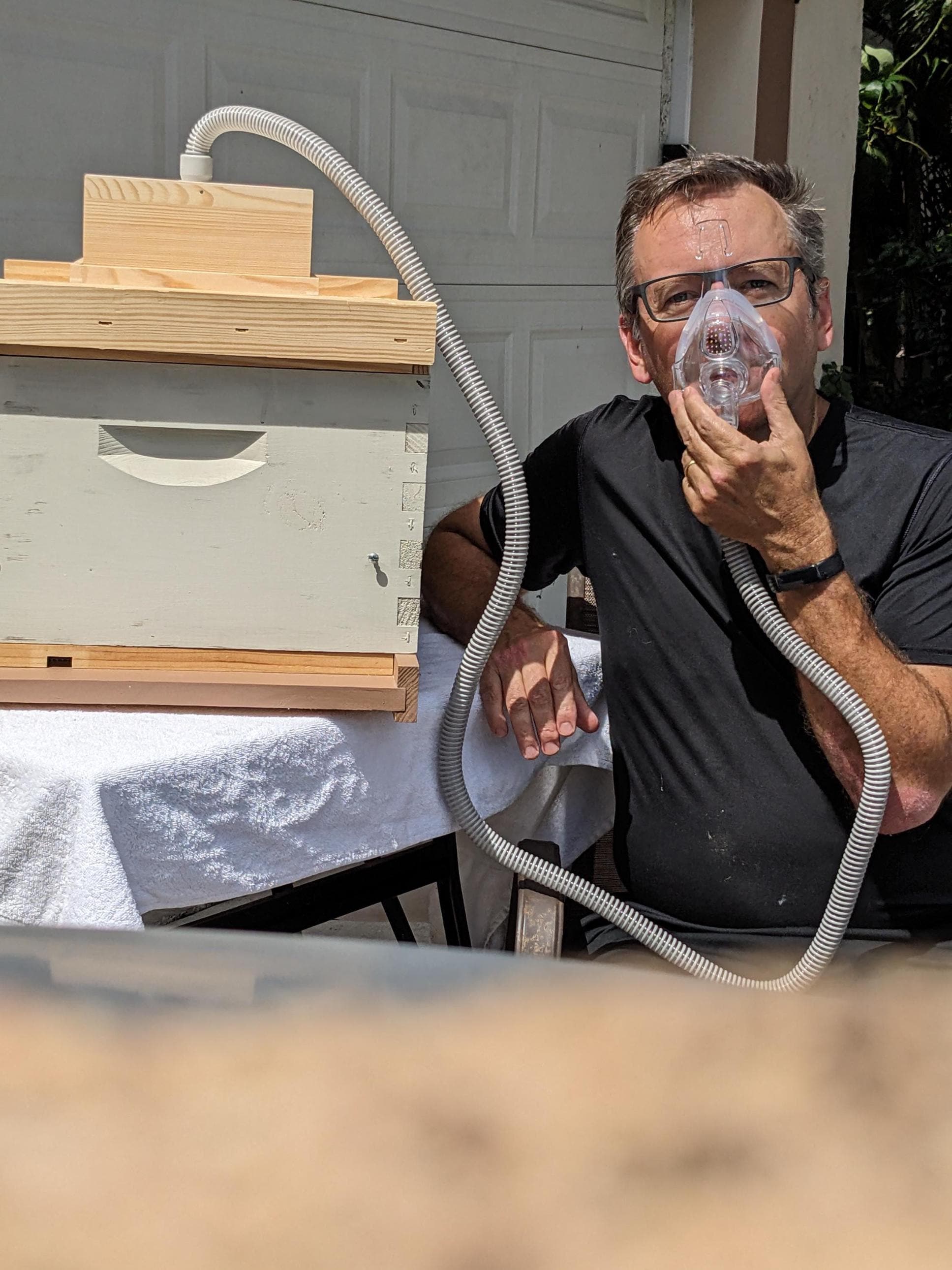 Beehive Air Therapy (BHAT) Wellness Device for Apitherapy, Beekeepers ...