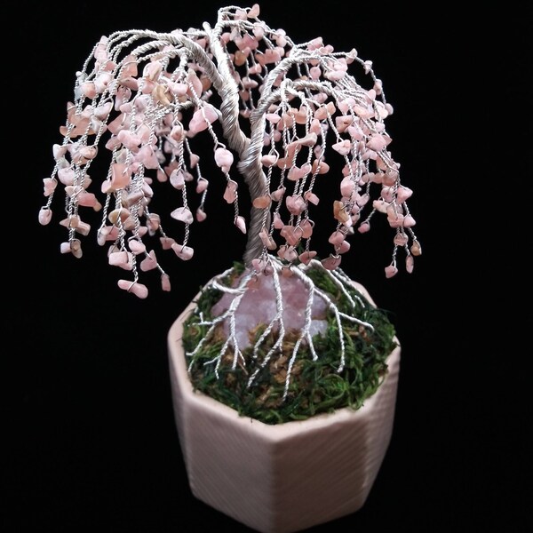 Silver Willow Tree - Etsy