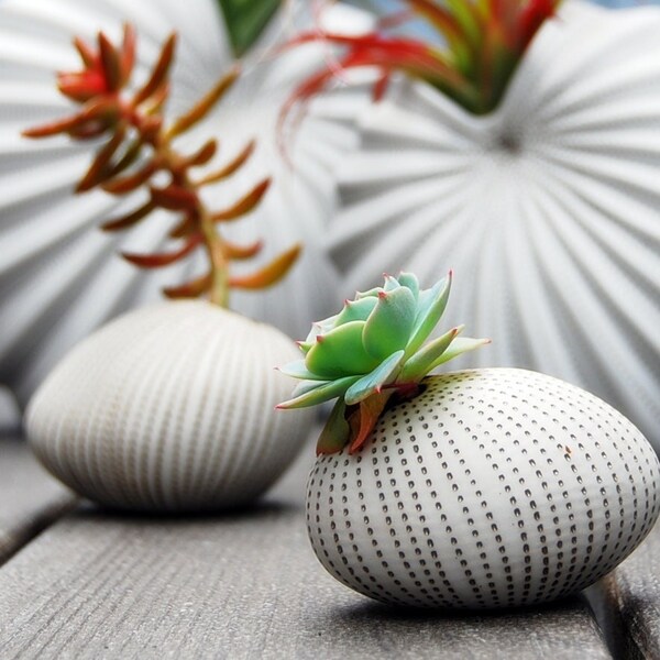 Pebble Vase - Etsy