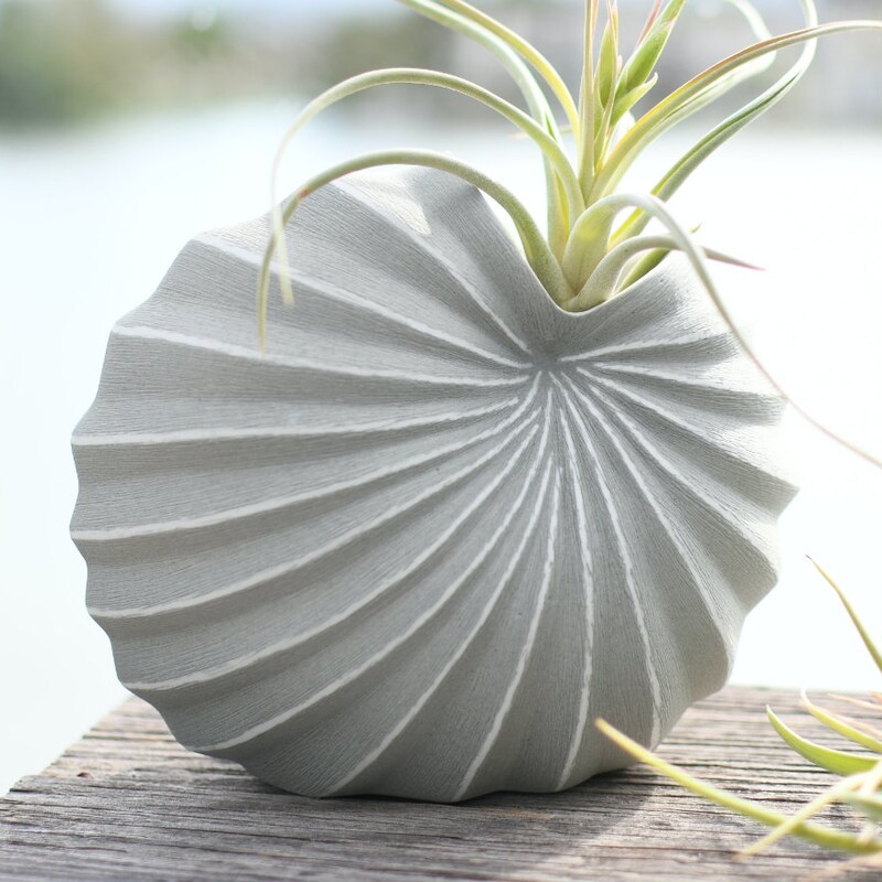 Shell Vase - Etsy