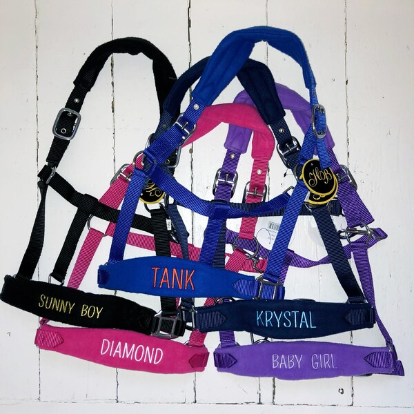 Horse Halter - Etsy