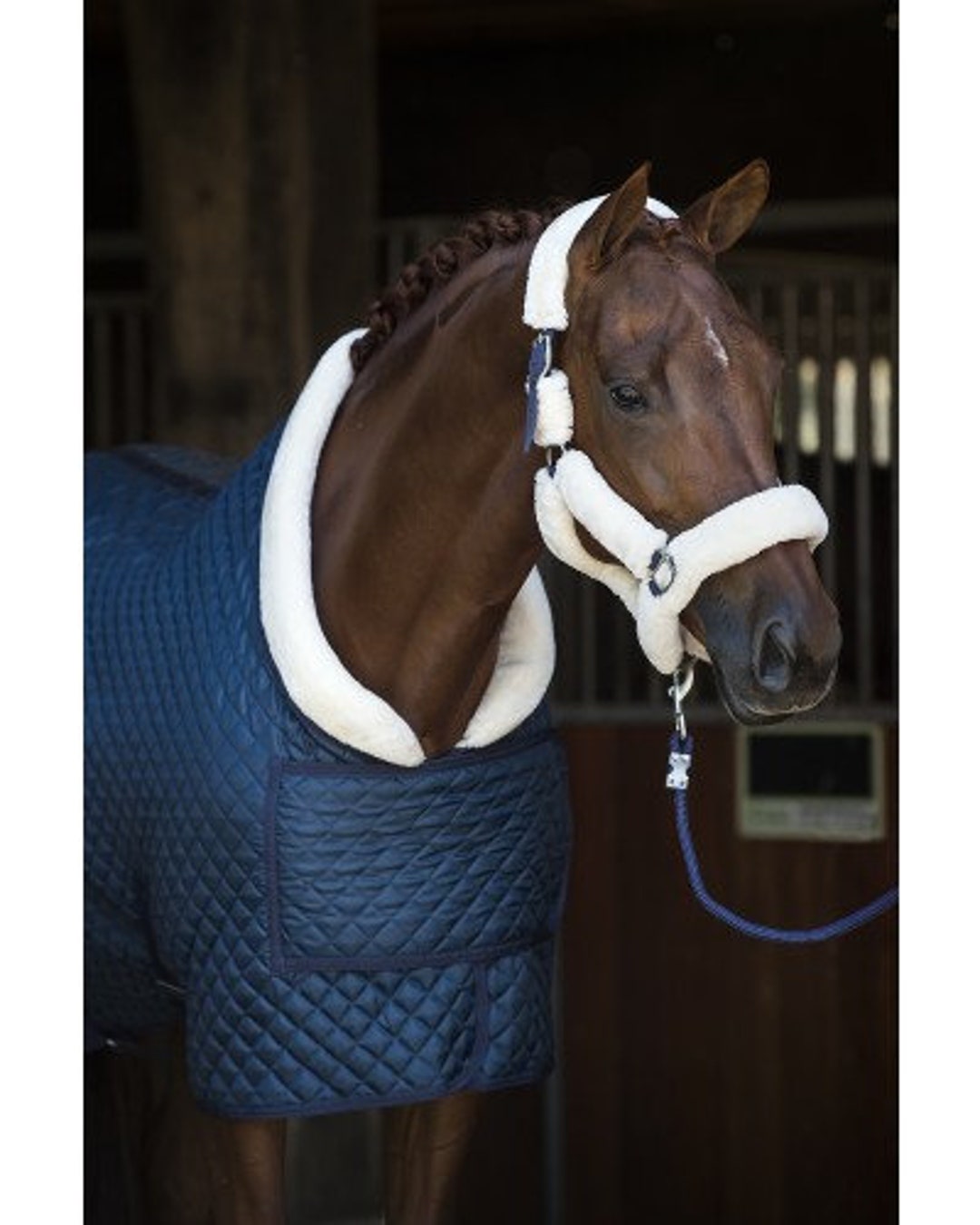 Equestrian Competition Show Blanket Horseblanket Fake Furr - Etsy