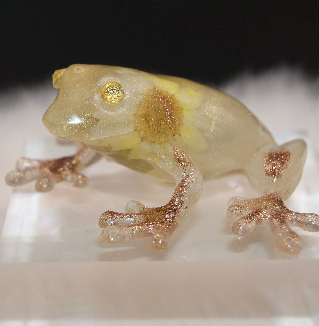 Yellow and Gold Glitter Frog With Pressed Real Flower Resin Garden Home ...