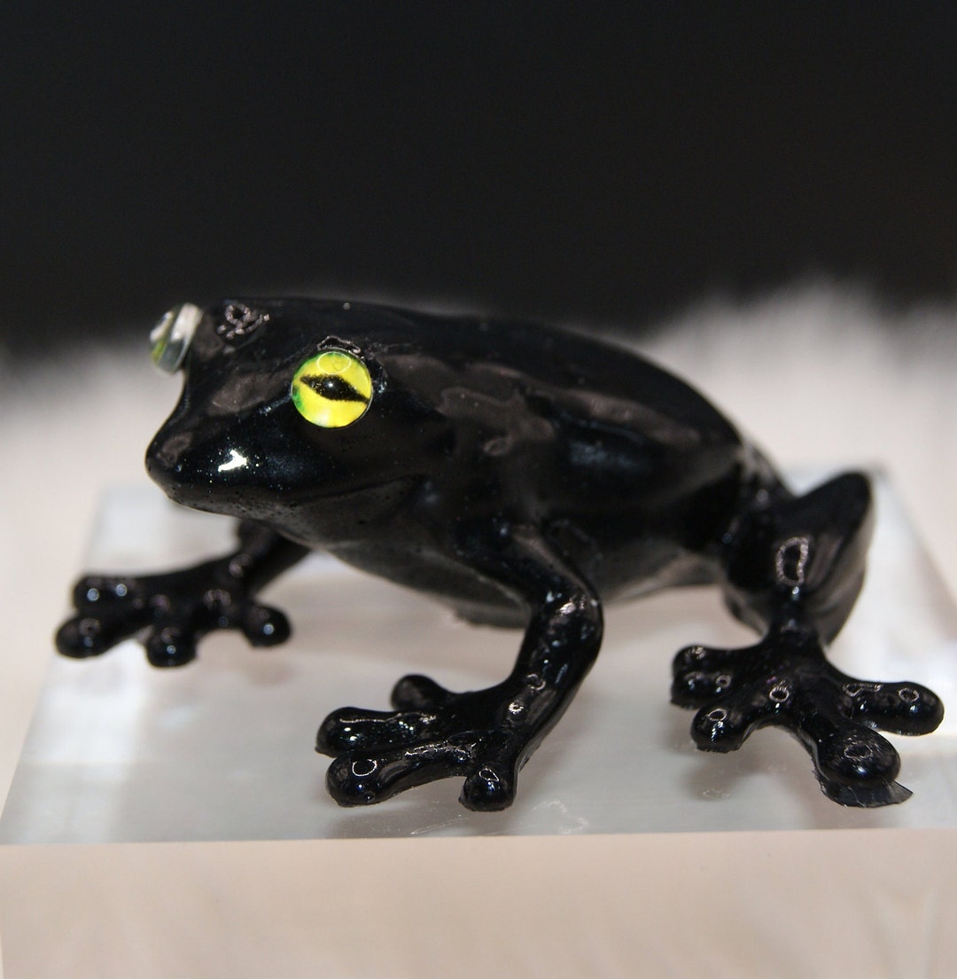 Black Frog With Realistic Eyes Resin Garden Home Decoration Statue ...