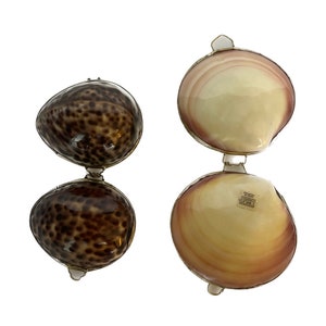 Vintage Shell Box, Vintage Shell Box, Tiger Cowry Box, Pink Clam Shell ...