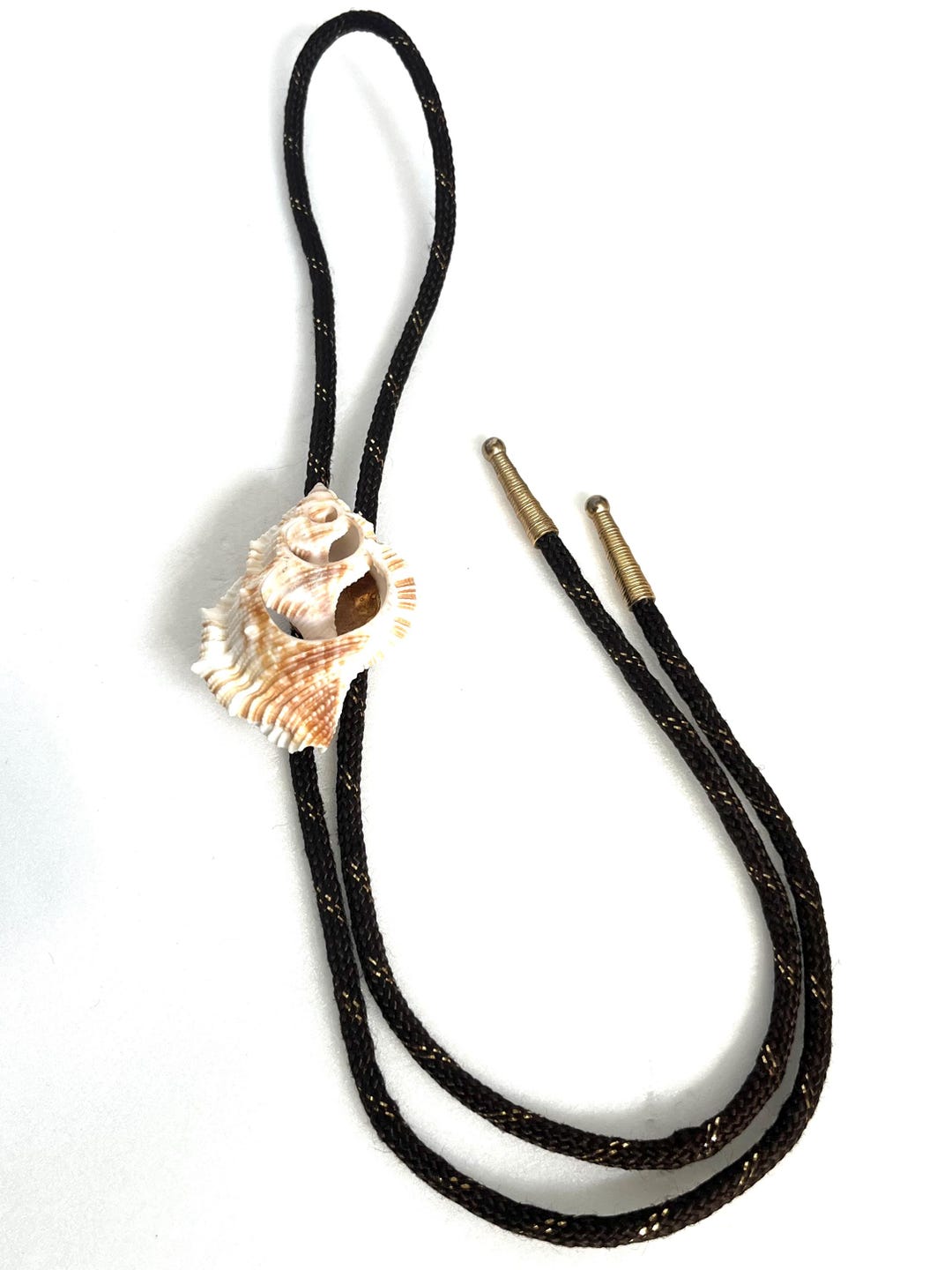 Shell Bolotie, Natural Spiral Sea Shell on Black Cord With Gold Flecks ...