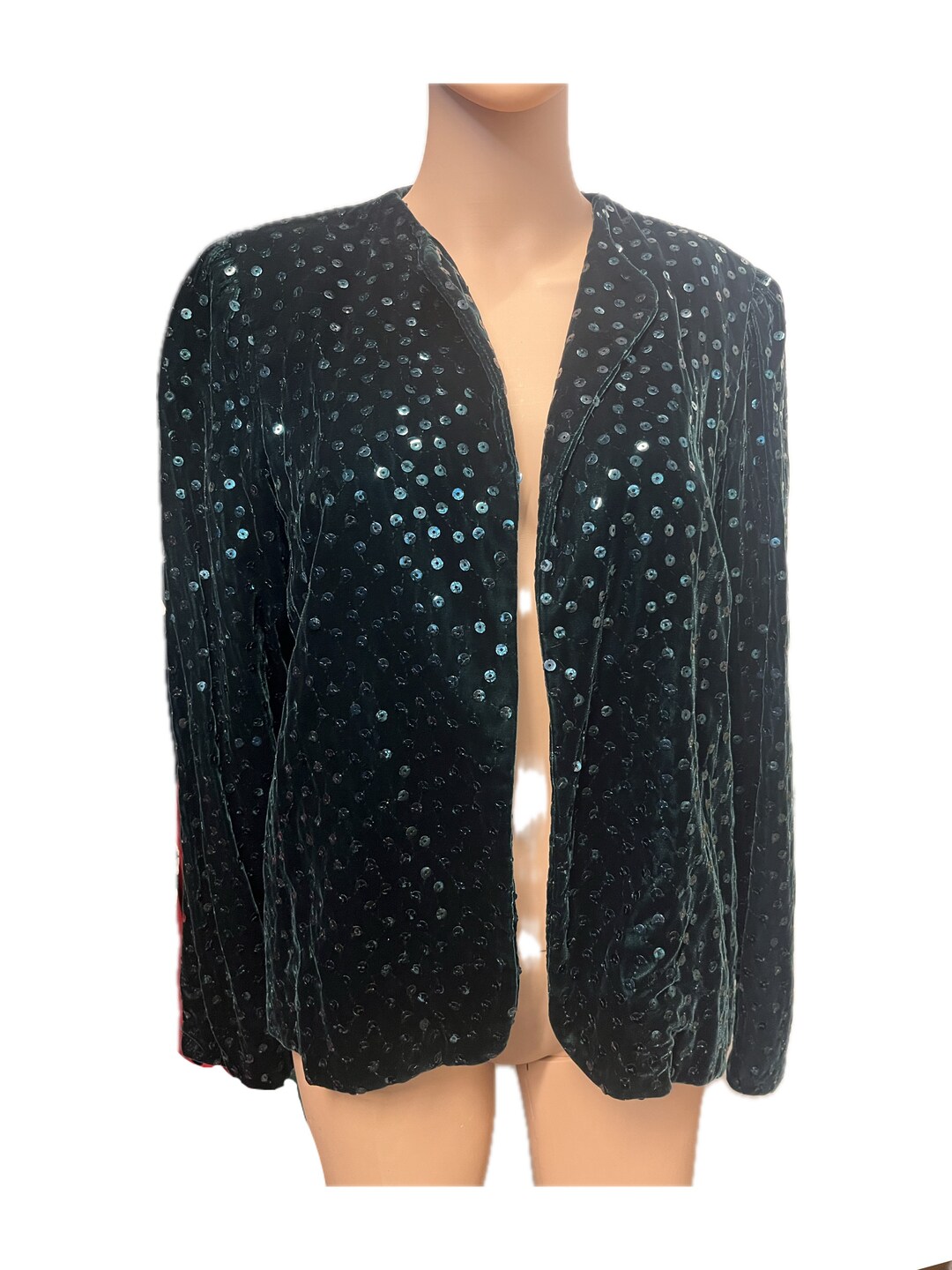 DOMINIC ROMPOLLO Green Sequin Jacket, Designer Blazer, Velvet Jacket ...