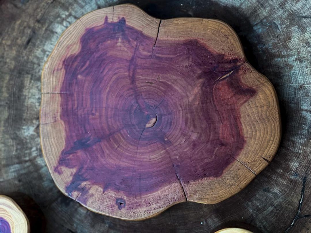 Cedar Wood Slice - Etsy